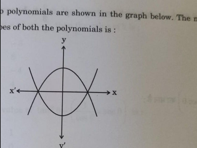 o polynomials are shown in the graph below. | StudyX