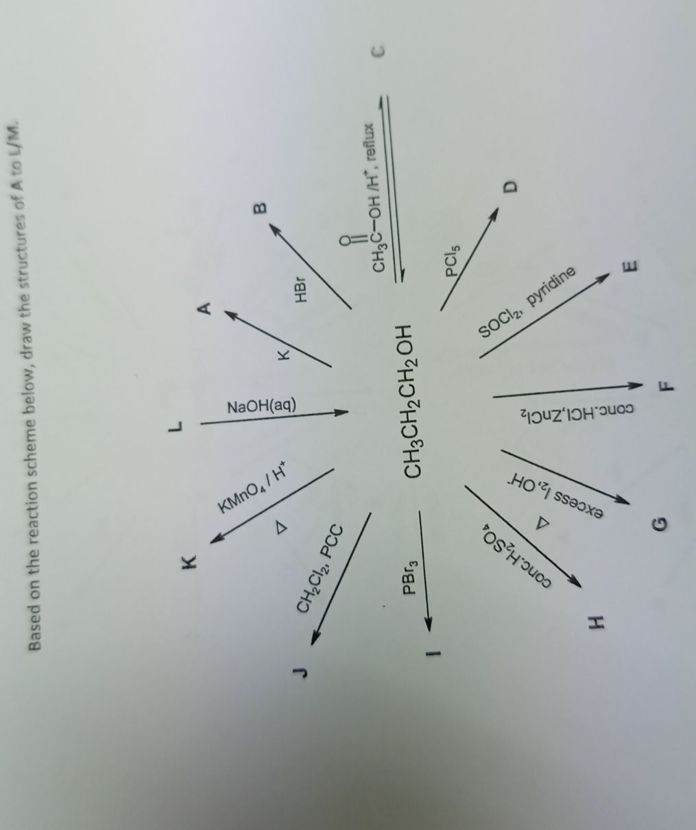 Based on the reaction scheme below, draw the | StudyX