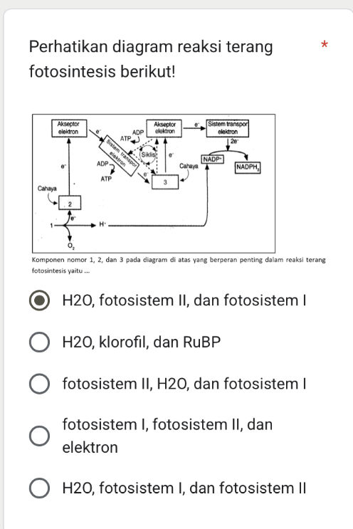 Perhatikan diagram reaksi terang | StudyX