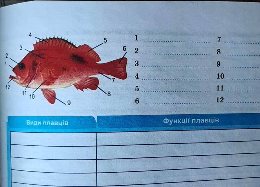 The image shows a diagram of a fish with | StudyX