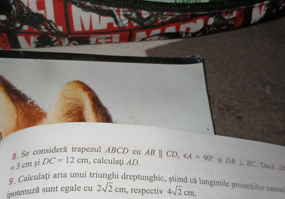 8. Se consideră trapezul ABCD cu AB || CD, $ | StudyX