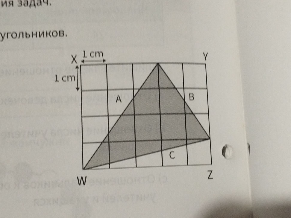 The image shows a triangle within a grid. | StudyX