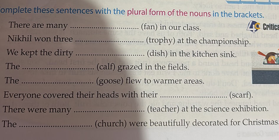 Complete these sentences with the plural | StudyX