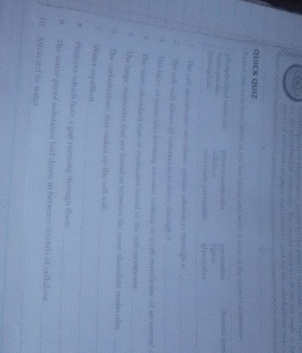 QUICK QUIZ Choose one term from those in the | StudyX