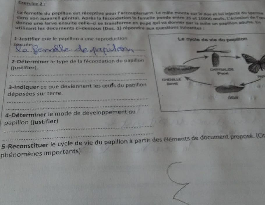Exercice 2. La femelle du papillon est | StudyX