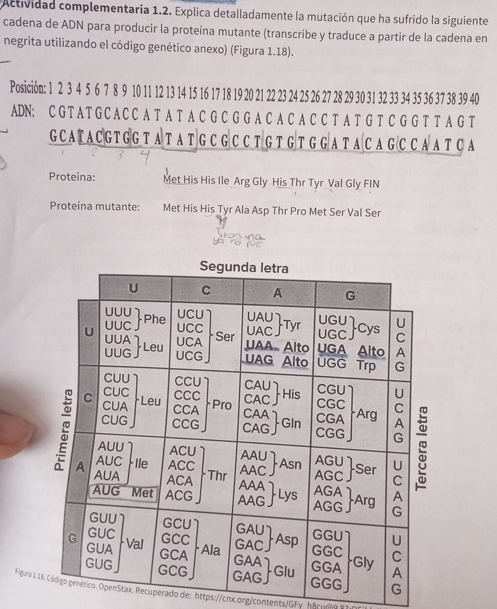 Actividad complementaria 1.2. Explica | StudyX