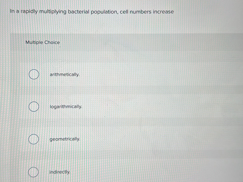 In a rapidly multiplying bacterial