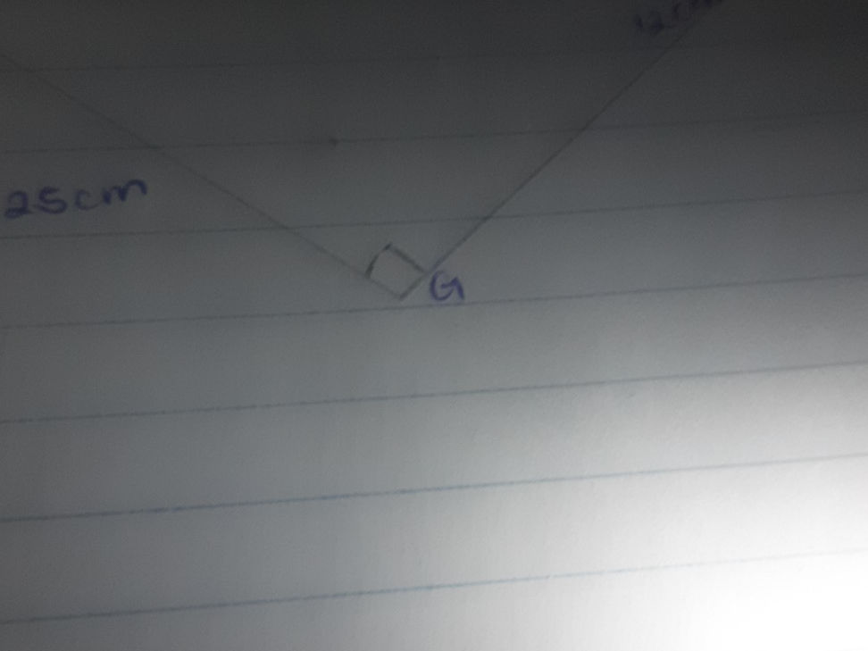 The image shows a right triangle with one | StudyX