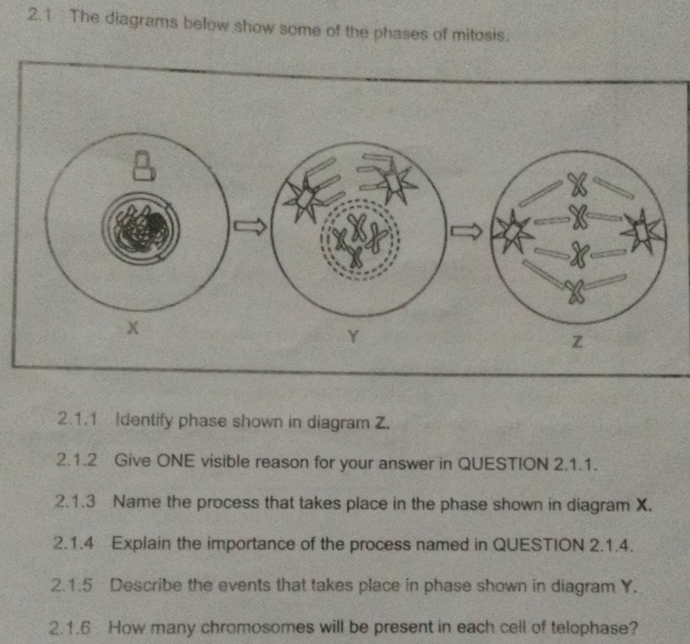 2.1 The diagrams below show some of the | StudyX