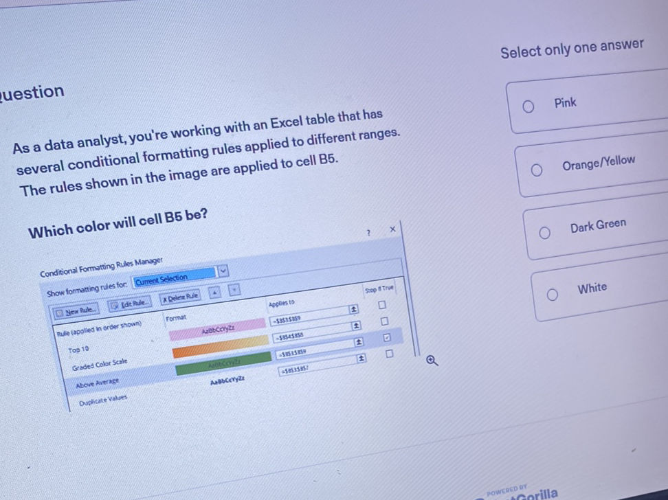 As a data analyst, you're working with an | StudyX