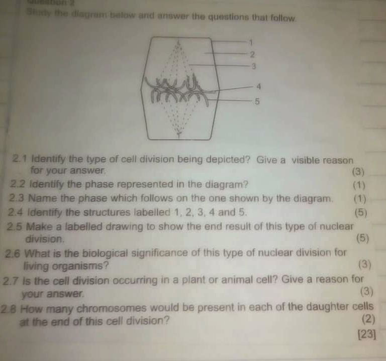 Study the diagram below and answer the | StudyX