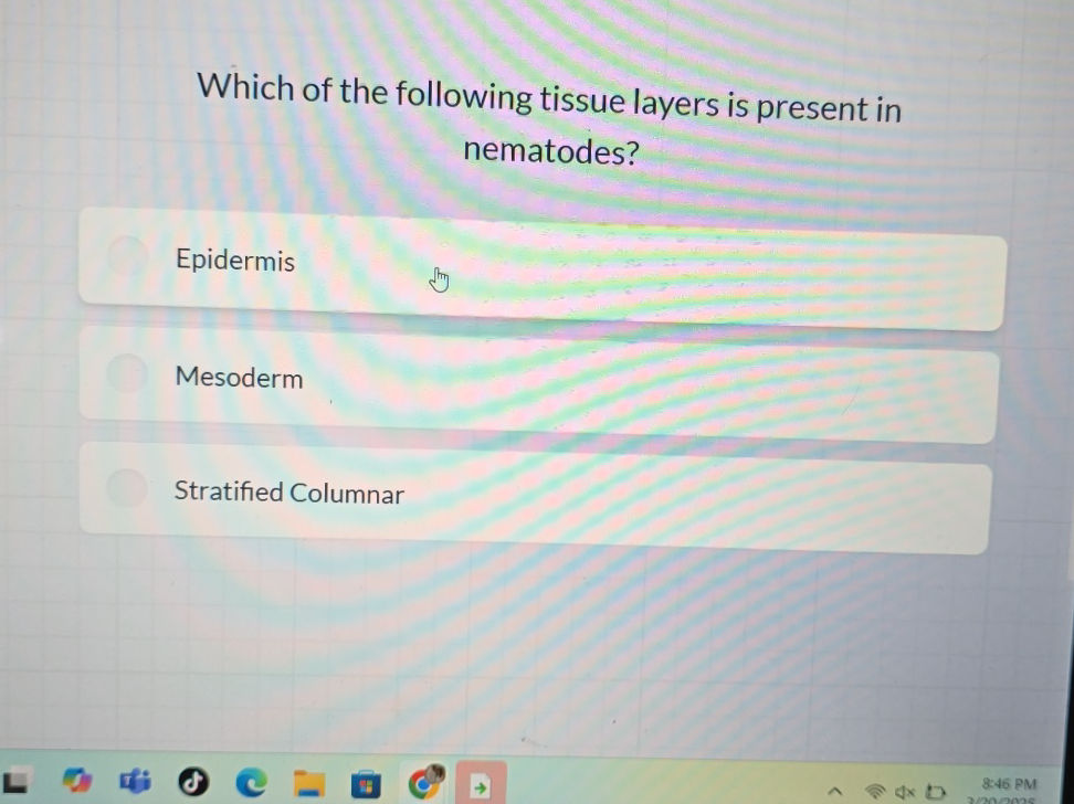 Which of the following tissue layers is | StudyX