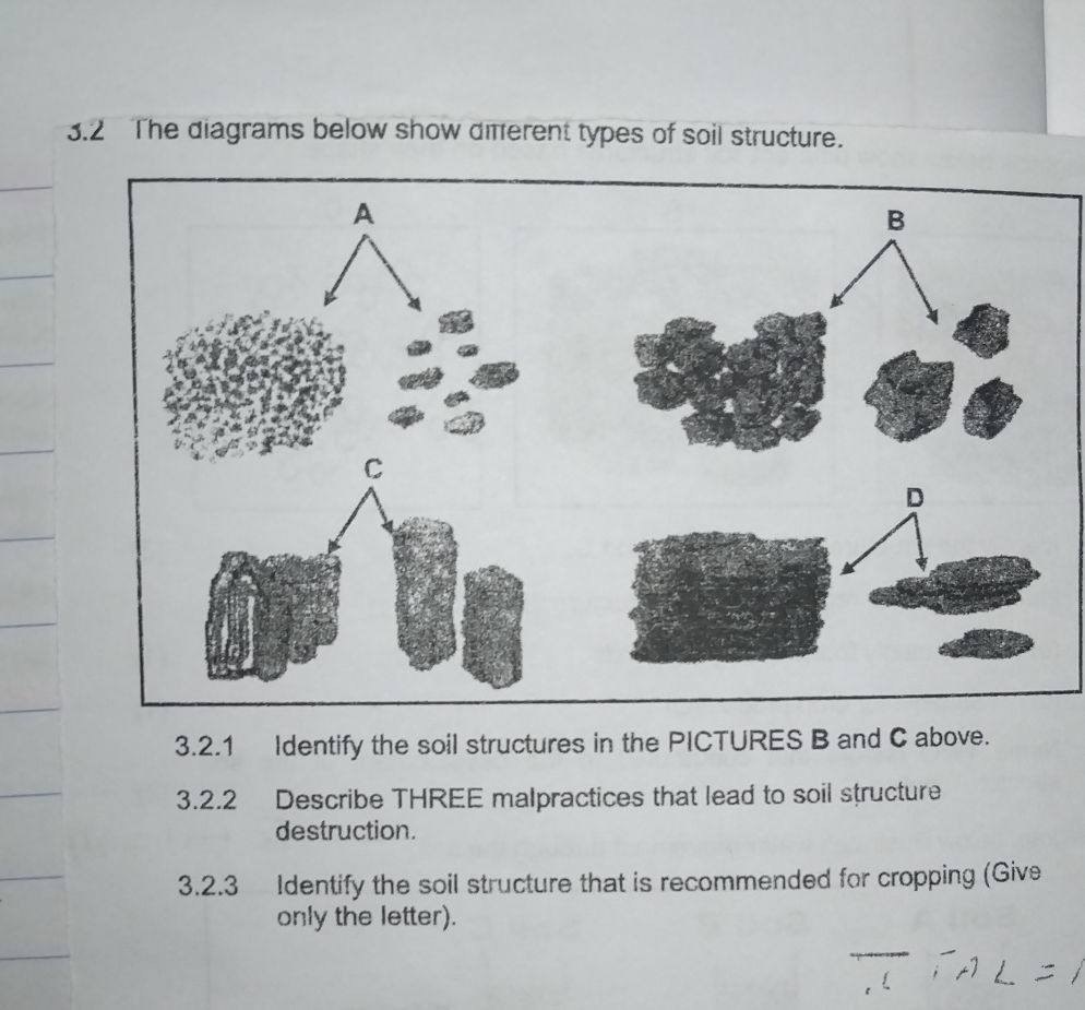 3.2 The diagrams below show different types | StudyX