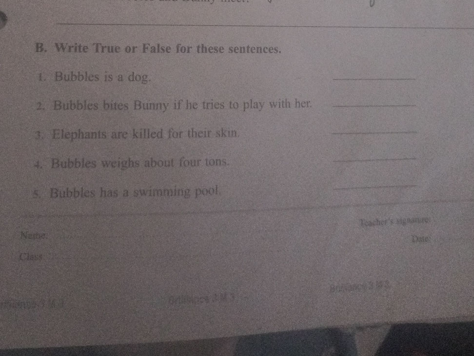 B. Write True or False for these sentences. | StudyX