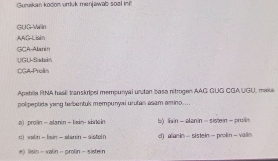Gunakan kodon untuk menjawab soal ini! | StudyX