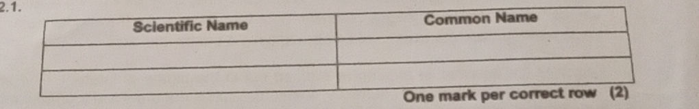 | Scientific Name | Common Name | |---|---| | StudyX