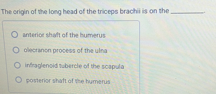 The origin of the long head of the triceps | StudyX