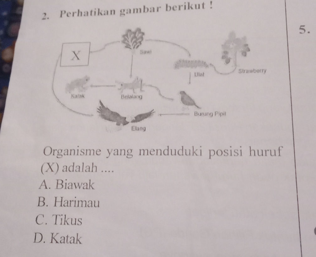 2. Perhatikan gambar berikut! ``` [Diagram | StudyX