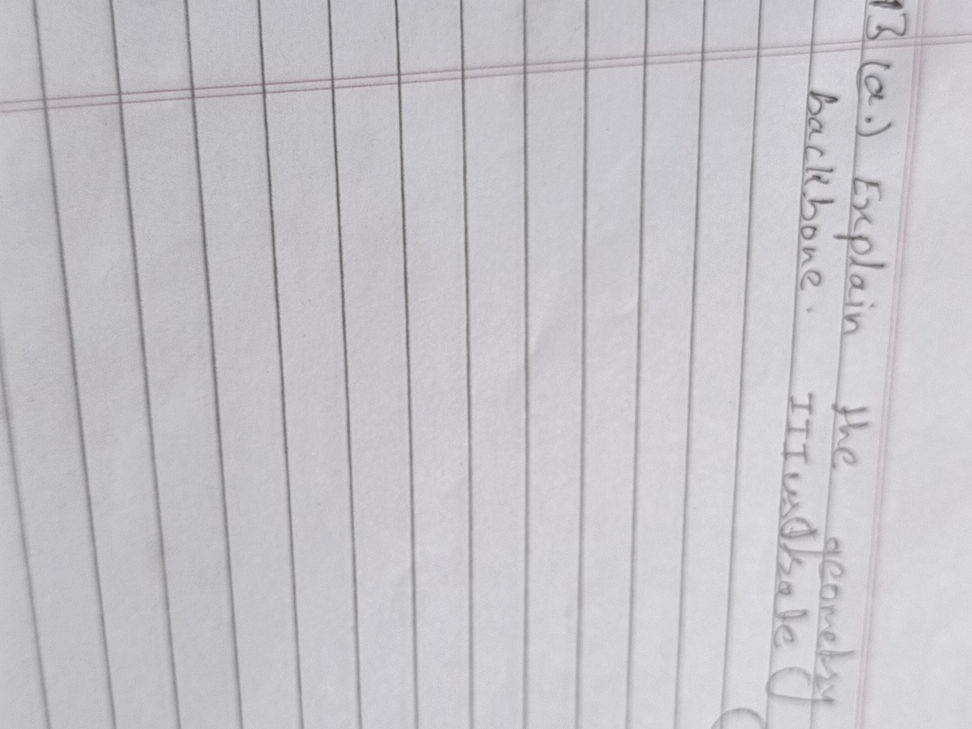 Explain Geometry Backbone | StudyX