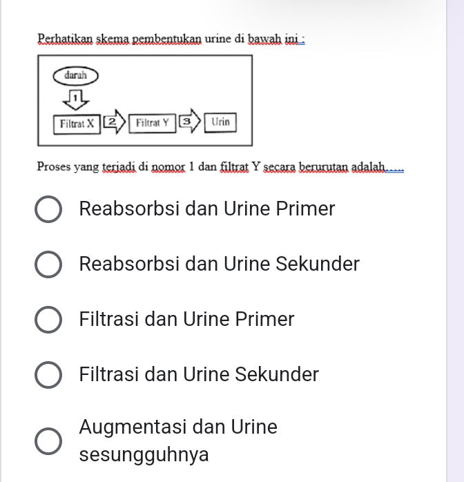 Perhatikan skema pembentukan urine di bawah | StudyX