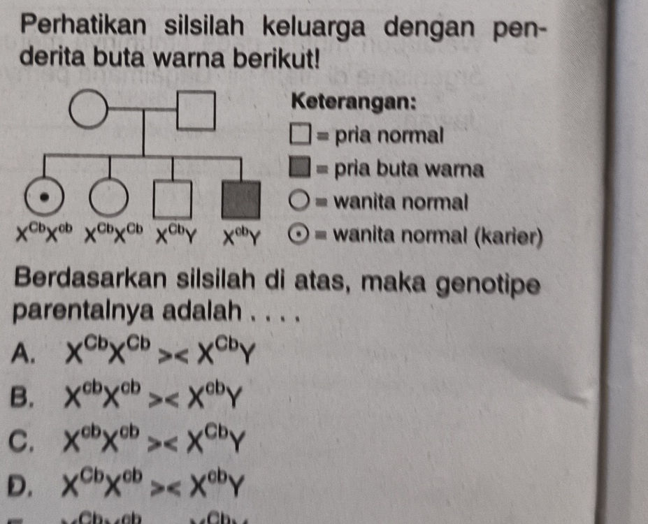 Perhatikan silsilah keluarga dengan | StudyX