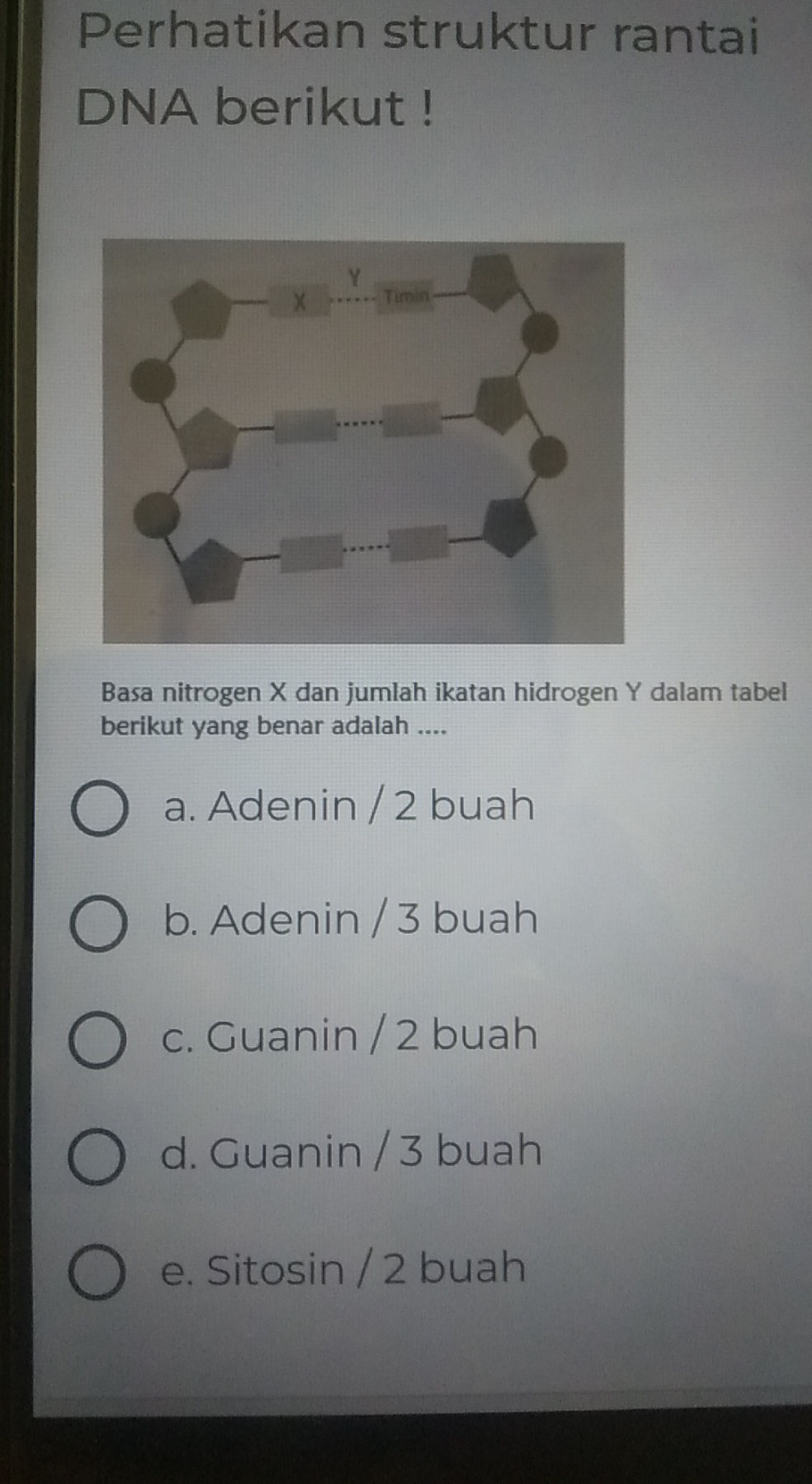 Perhatikan struktur rantai DNA berikut! | StudyX