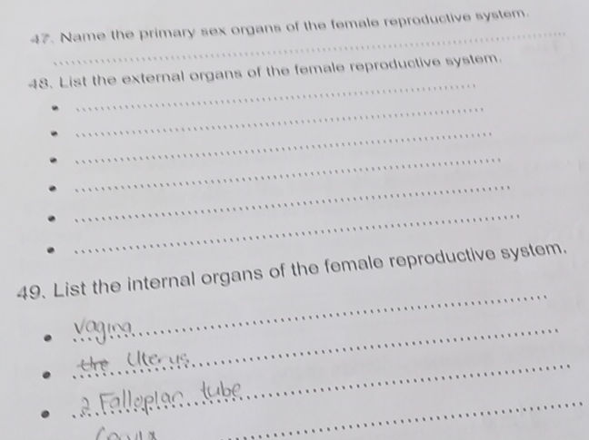 47. Name the primary sex organs of the | StudyX