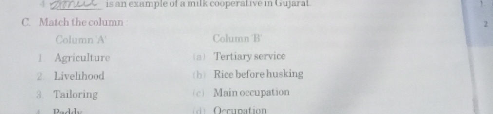 C. Match the column | Column 'A' | Column | StudyX