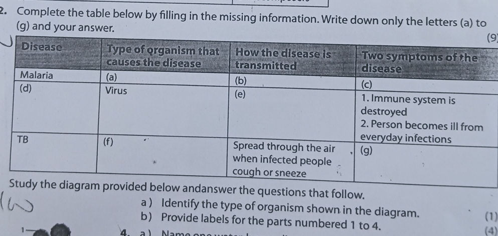 2. Complete the table below by filling in | StudyX