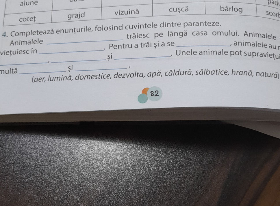 4. Completează enunțurile, folosind | StudyX