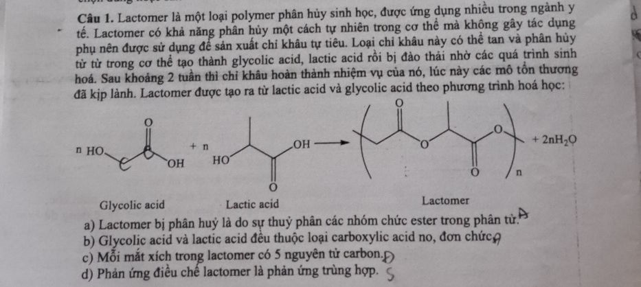 Câu 1. Lactomer là một loại polymer phân hủy | StudyX
