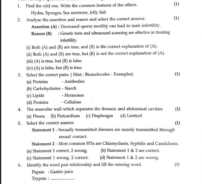 1. Find the odd one. Write the common | StudyX