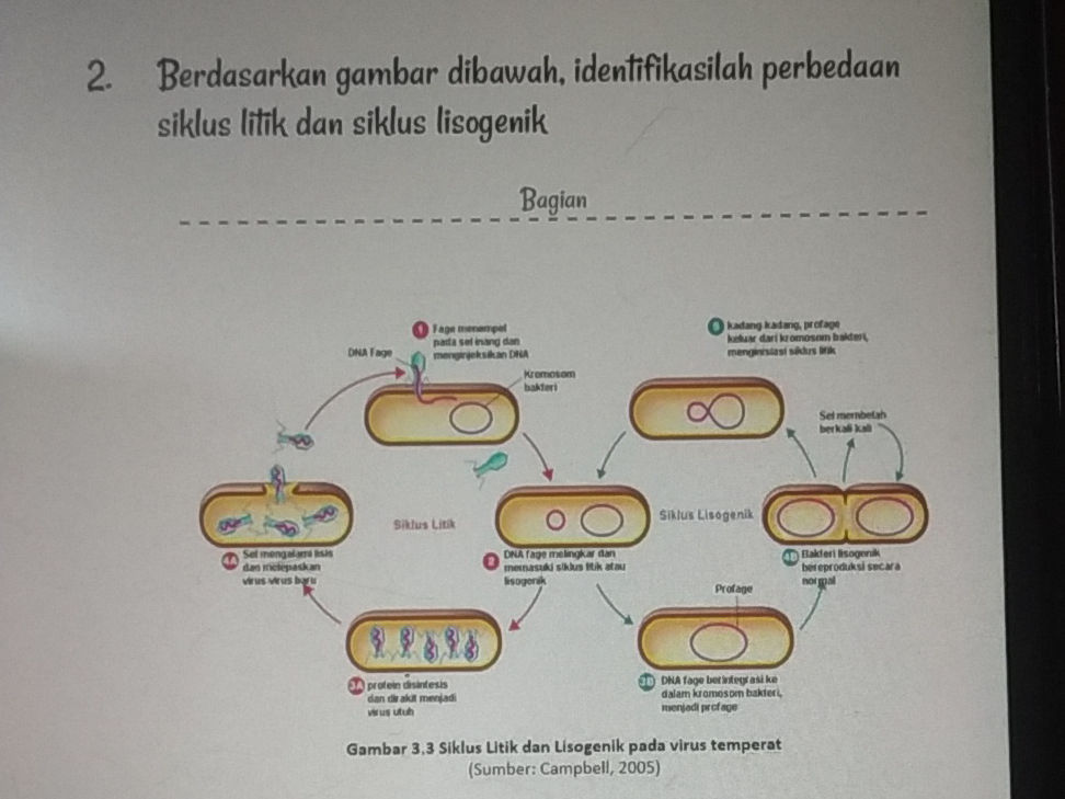 2. Berdasarkan gambar dibawah, | StudyX