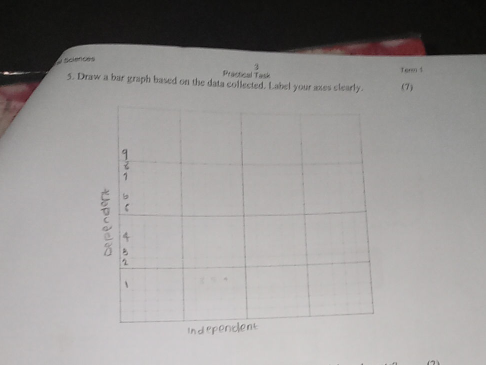 5. Draw a bar graph based on the data | StudyX