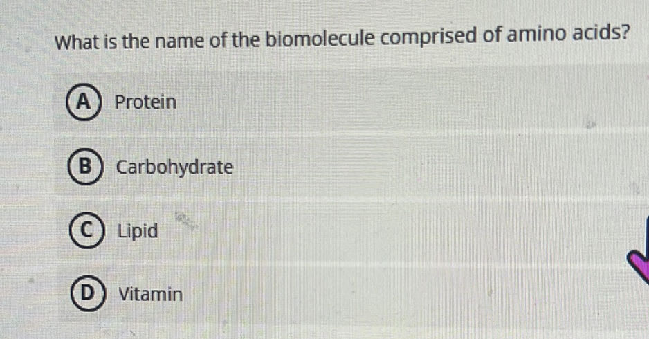 What is the name of the biomolecule | StudyX