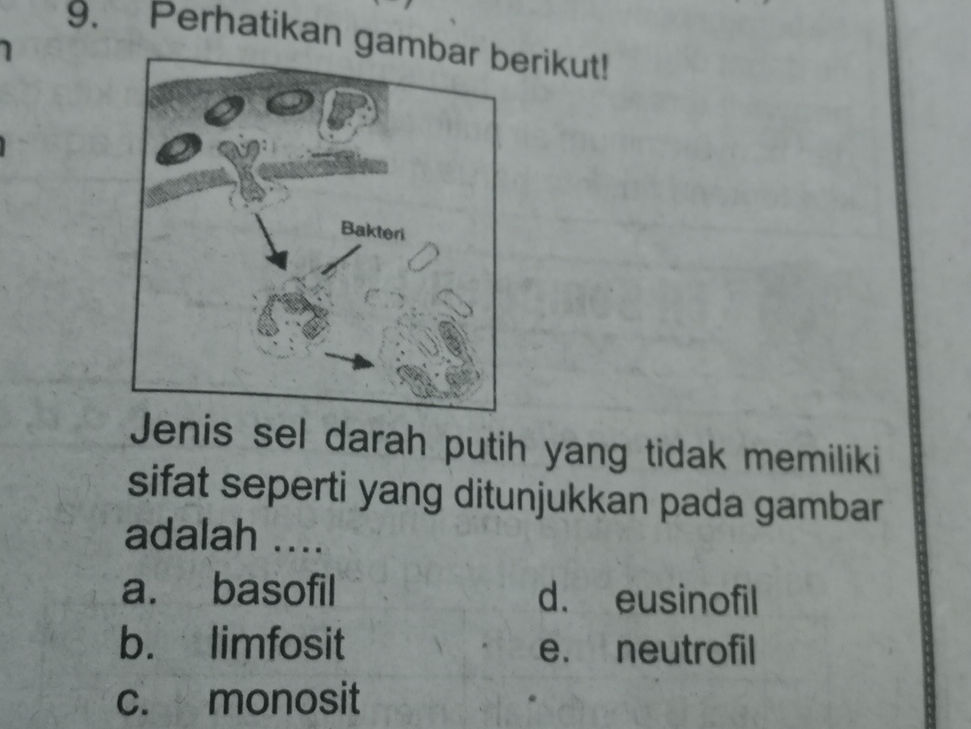 9. Perhatikan gambar berikut! Jenis sel | StudyX