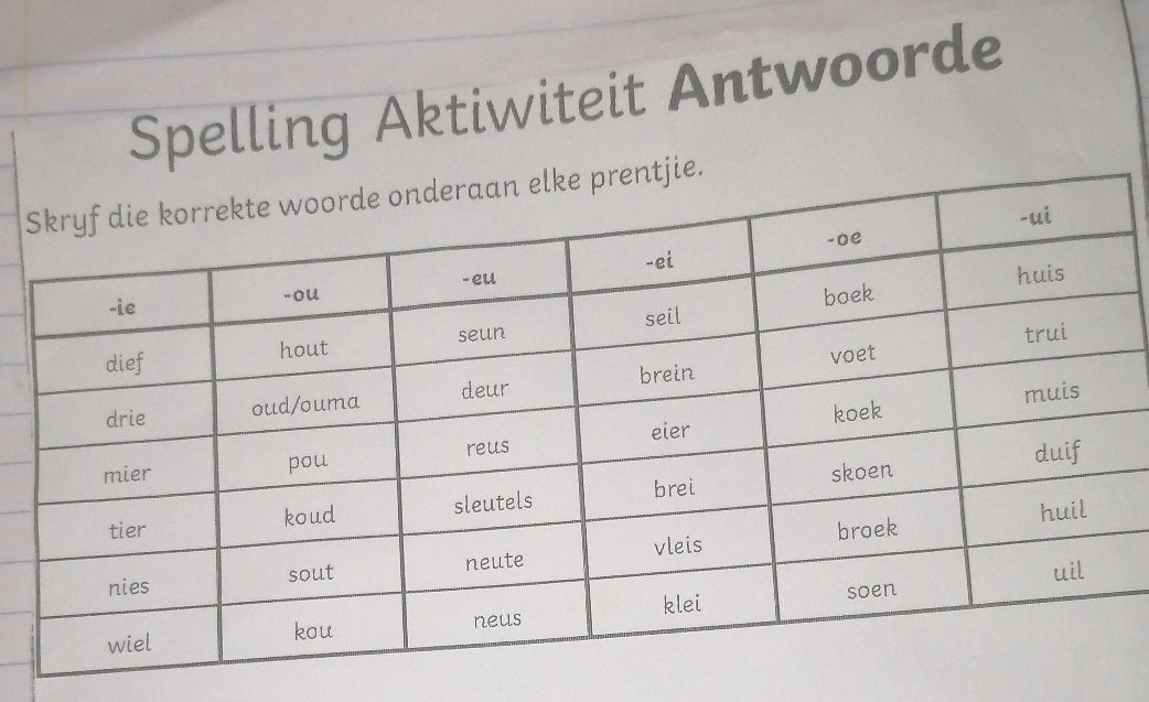 Spelling Aktiwiteit Antwoorde Skryf die | StudyX