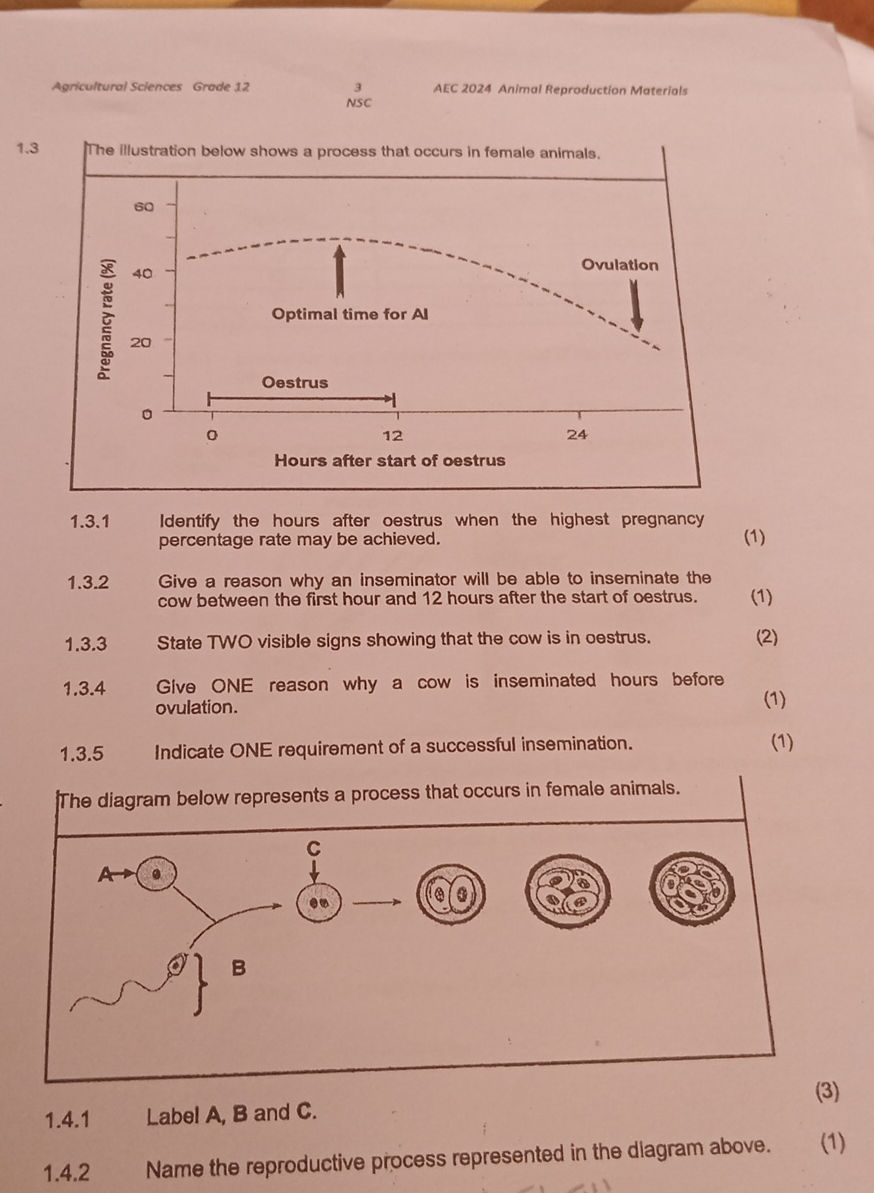1.3 The illustration below shows a process | StudyX