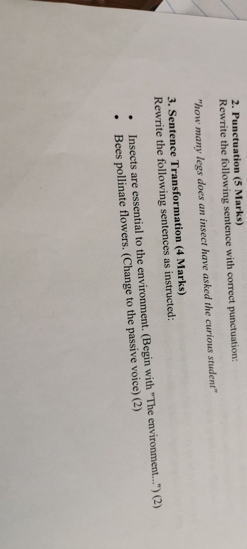 2. Punctuation (5 Marks) Rewrite the | StudyX