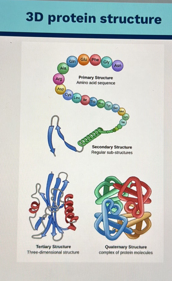 Which of the following, in the VIEW IMAGE | StudyX