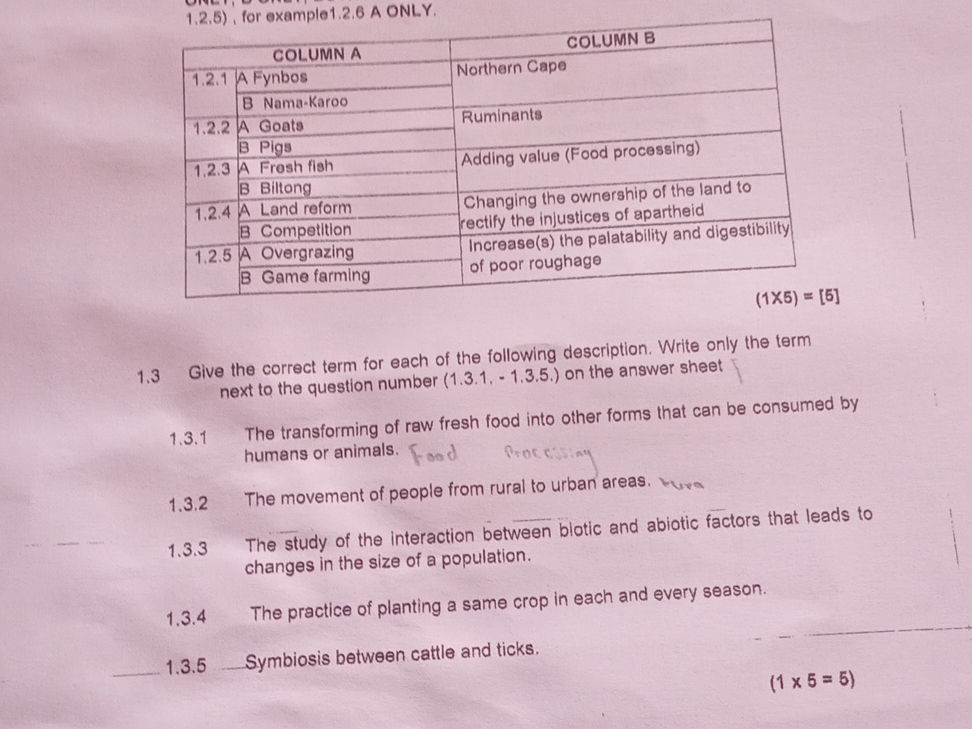 ```markdown | COLUMN A | COLUMN B | StudyX