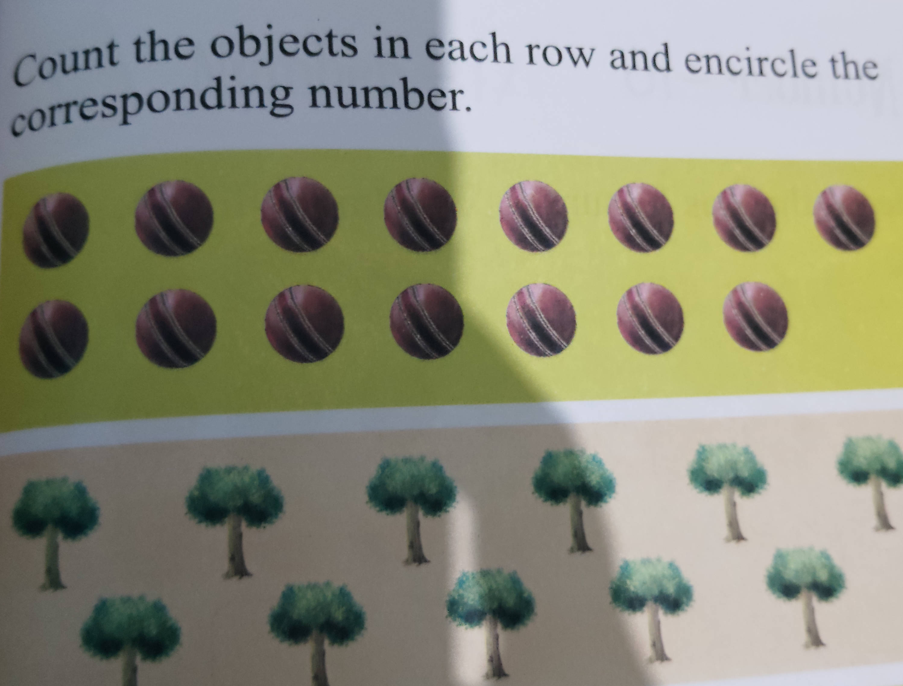 Count the objects in each row and encircle | StudyX