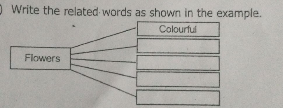 Write the related words as shown in the | StudyX