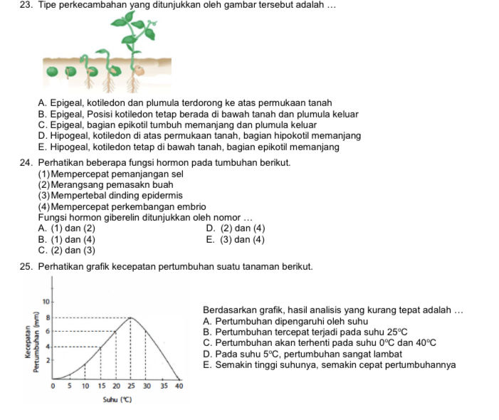 23. Tipe perkecambahan yang ditunjukkan oleh | StudyX