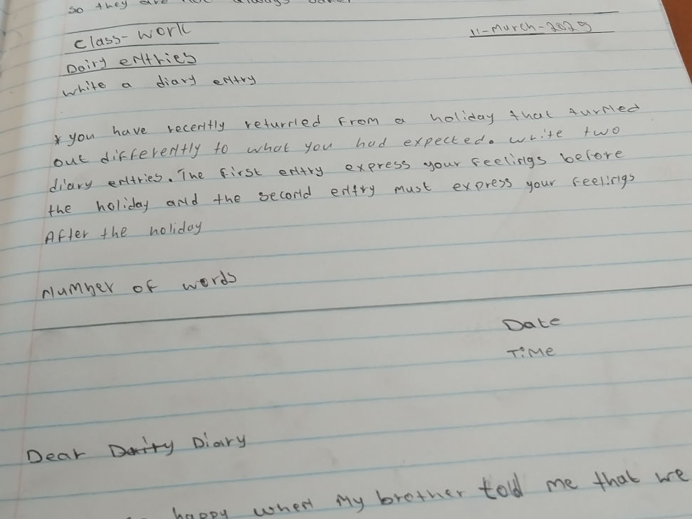 Class- Work Dairy entries Write a diary | StudyX