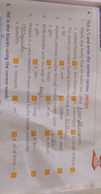 A. Tick ( ) and write the correct option. | StudyX