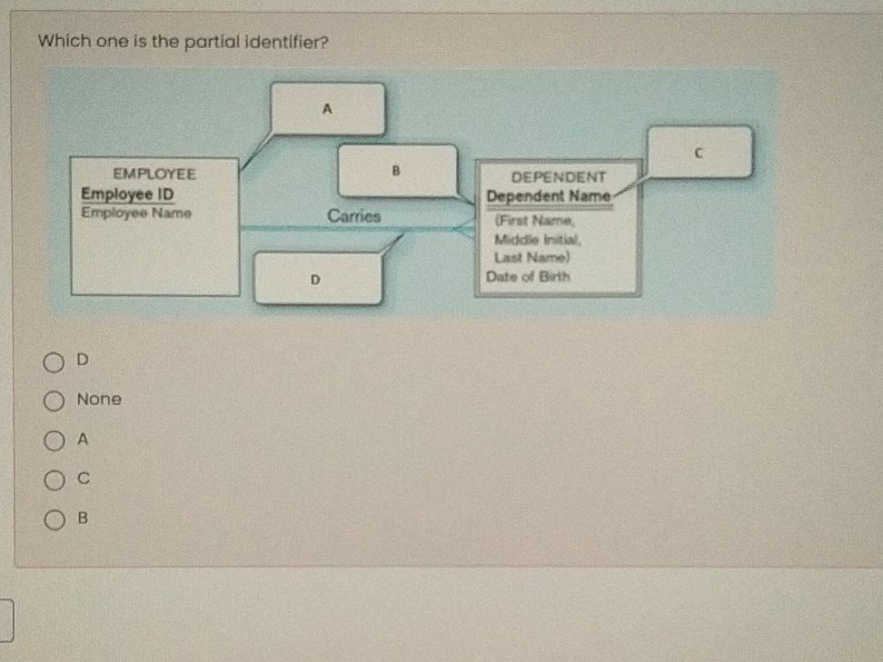Which one is the partial identifier? | StudyX