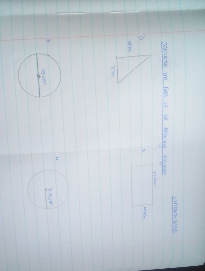 Calculate the Area of the following diagram | StudyX