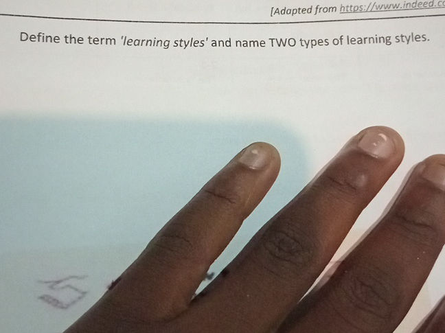 Define the term 'learning styles' and name | StudyX