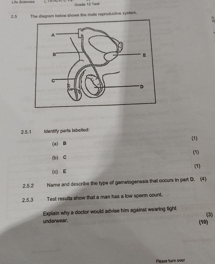 2.5 The diagram below shows the male | StudyX